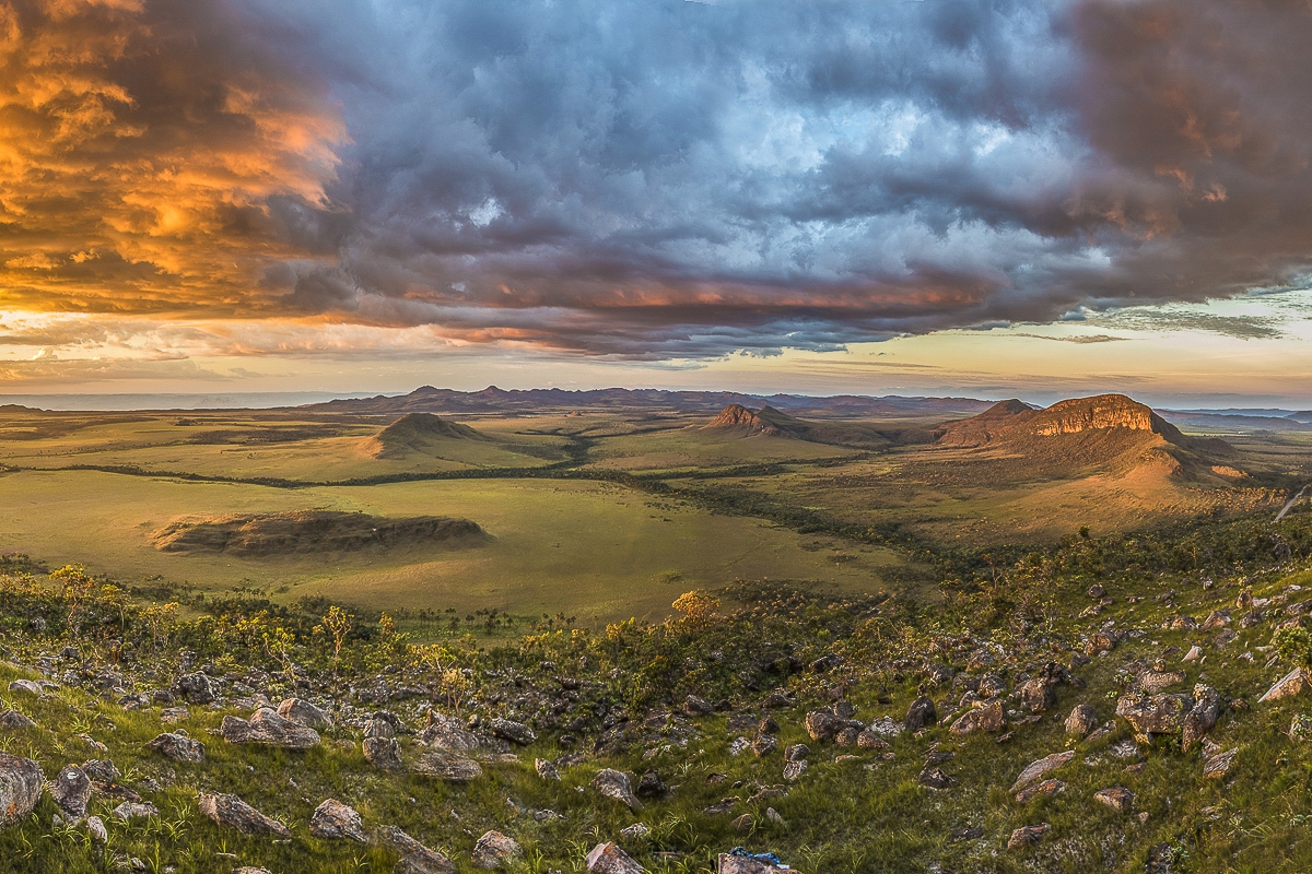 Galeria: O olhar do fotógrafo André Dib sobre o Cerrado - ((o))eco