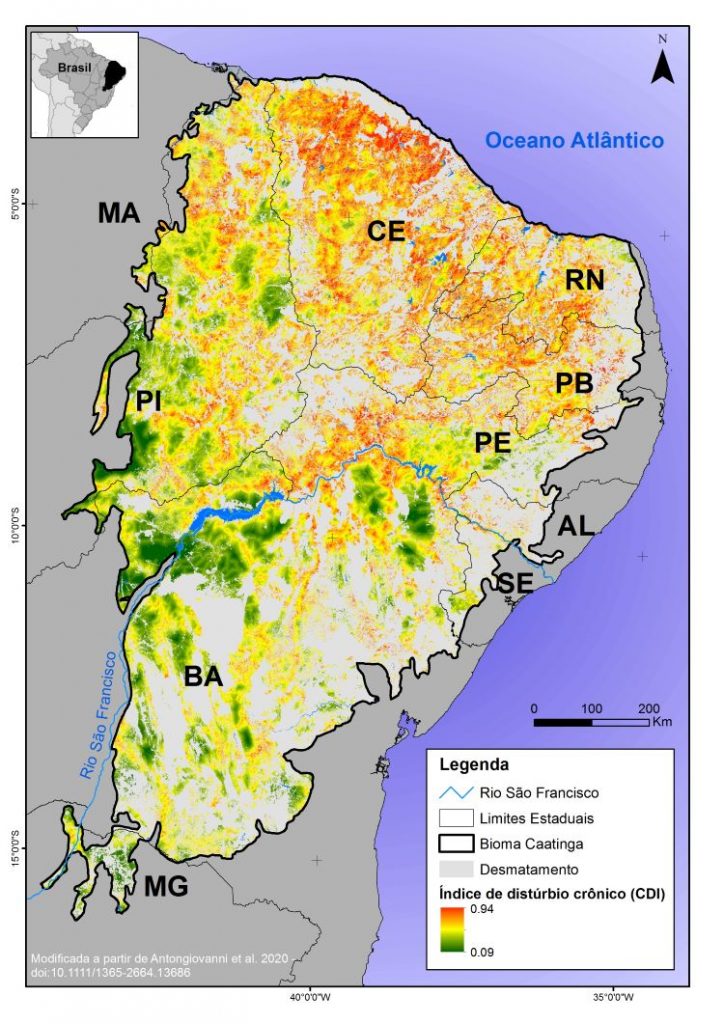 Pesquisa mapeia degradação ambiental em remanescentes de Caatinga - ((o ...
