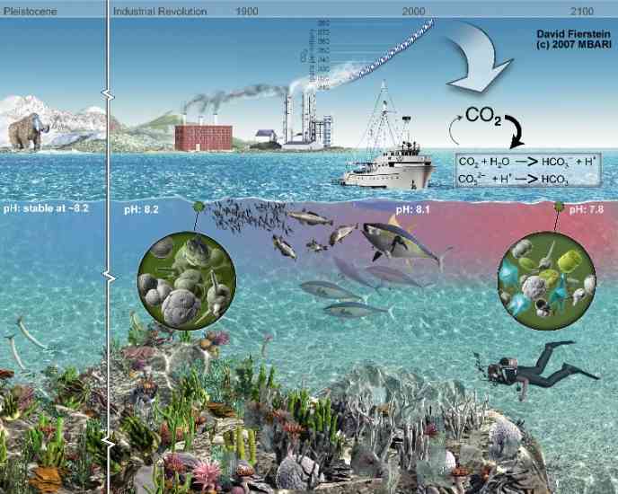 Tecnologia contra a acidificação dos oceanos - ((o))eco