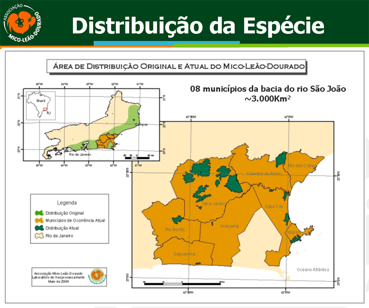 Deu mico - ((o))eco